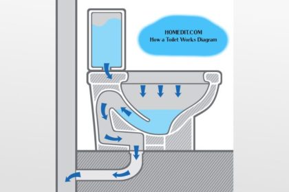 Information to Elements of a Rest room With Diagrams – Special Sgear